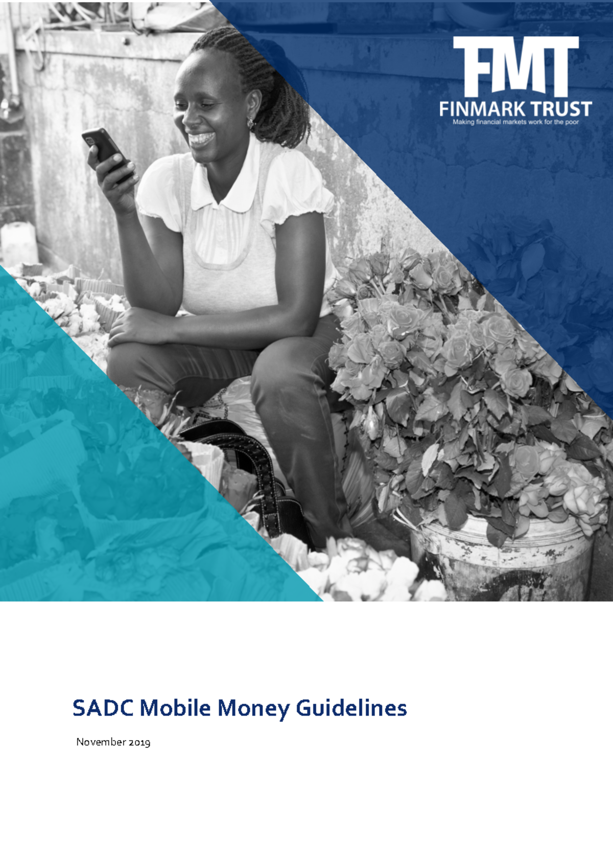 SADC Mobile Money Guidelines - 1 INTRODUCTION The FIP (Protocol on ...