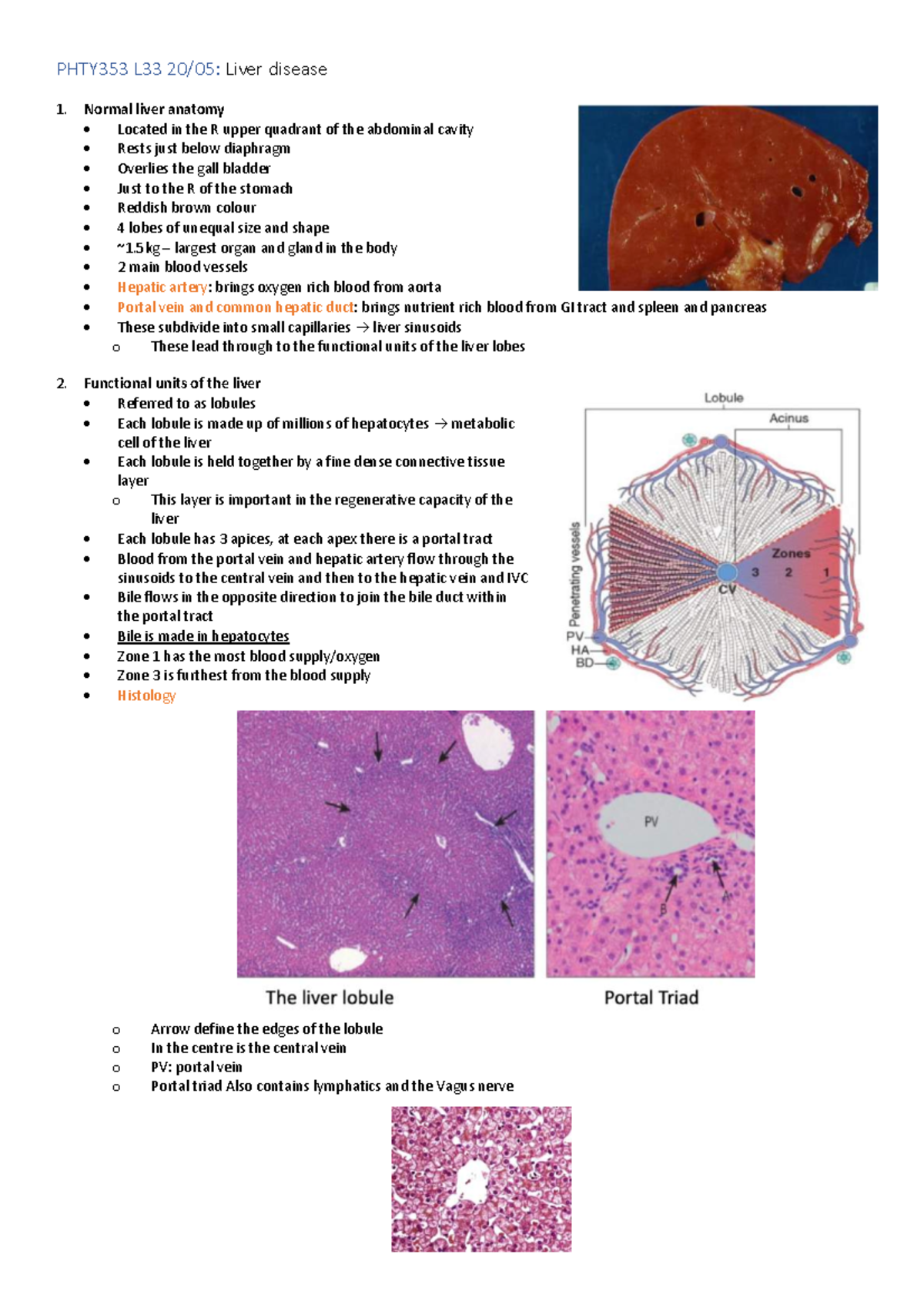 Pathology for Physiotherapy Lecture 33 - Warning: TT: undefined function: 32 PHTY353 L33 20/05 ...