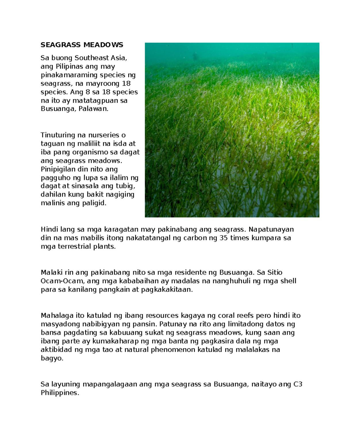 Seagrass Meadows - SEAGRASS MEADOWS Sa buong Southeast Asia, ang ...