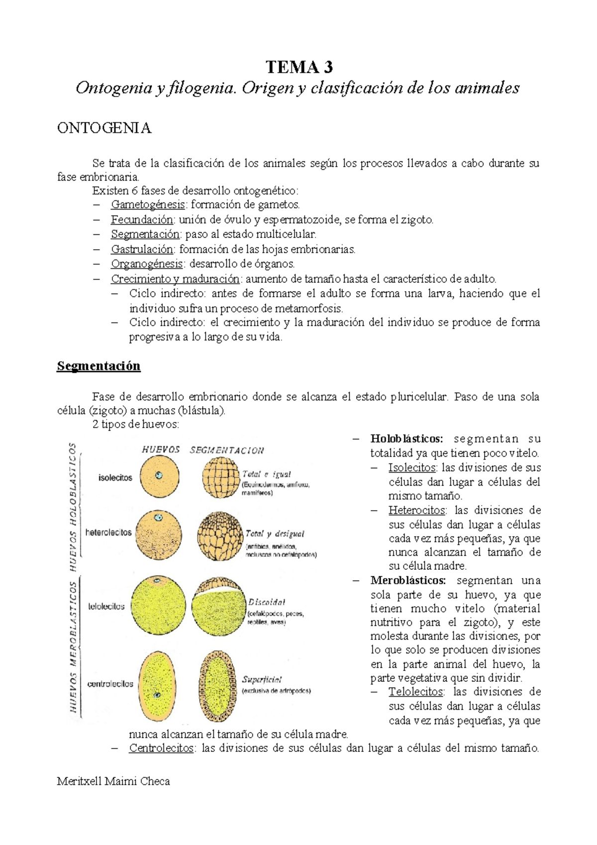 Ontogenia y Filogenia. Origen y Clasificación de los Animales - TEMA 3 ...