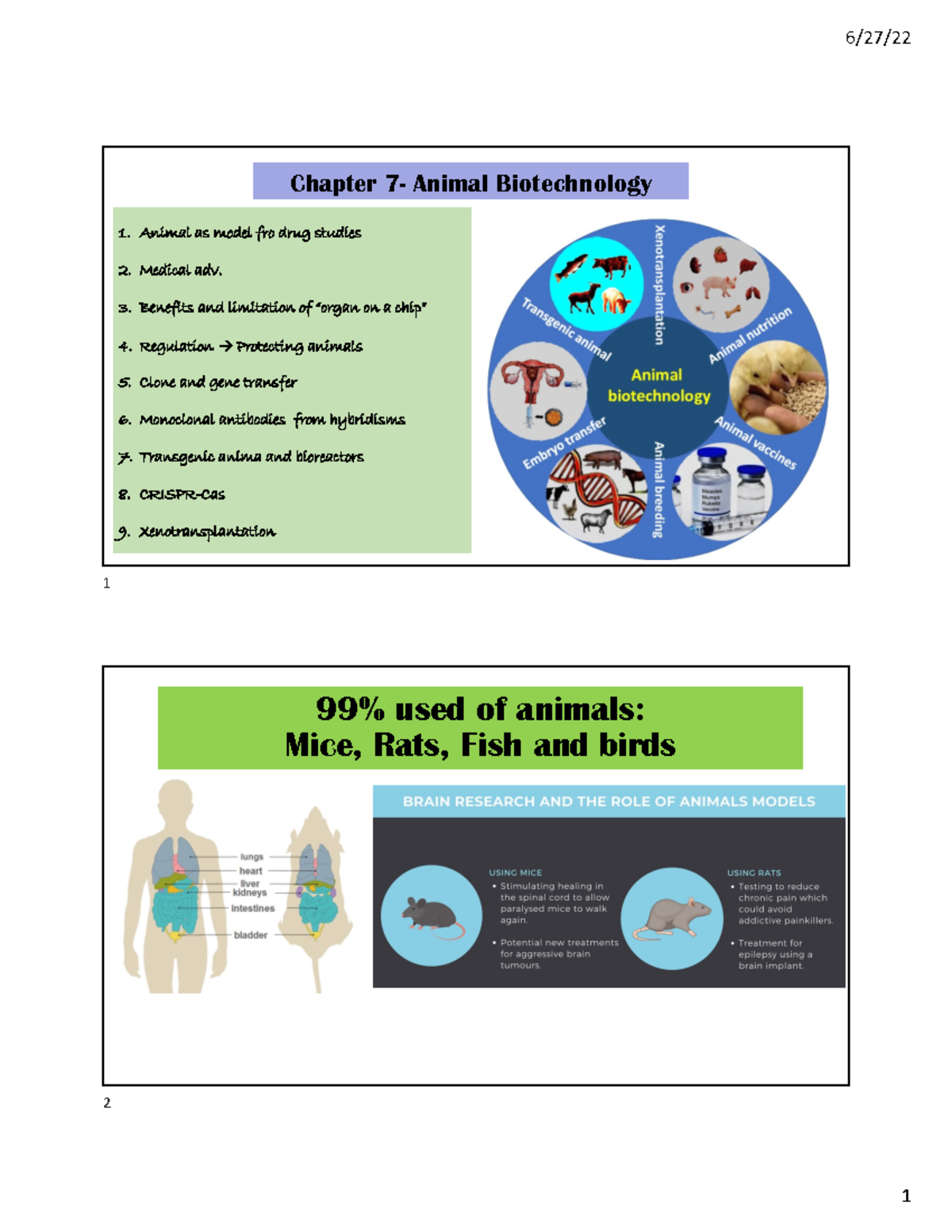Chapter 7 Animal Biotechnology - 6/27/ 1 Chapter 7- Animal ...