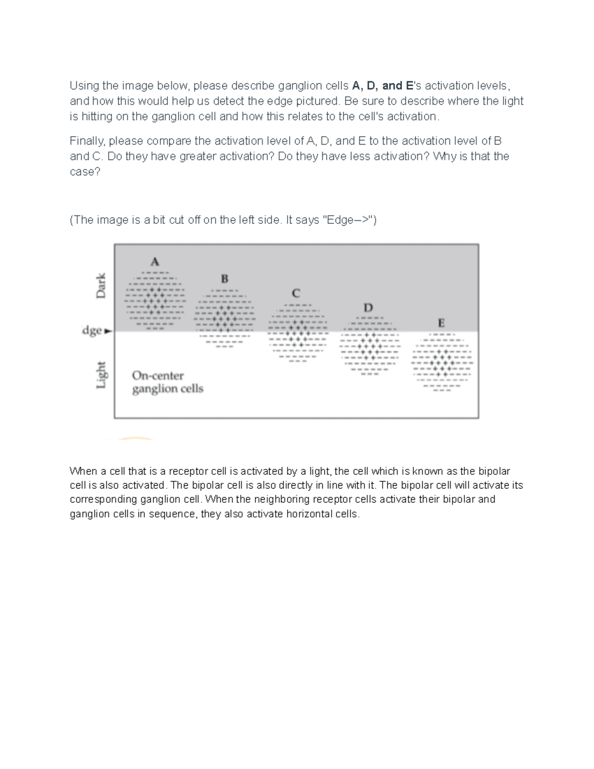 Hw1 Homework Assignment For Psyc 20 Cognition Fundamental Theories Using The Image Below