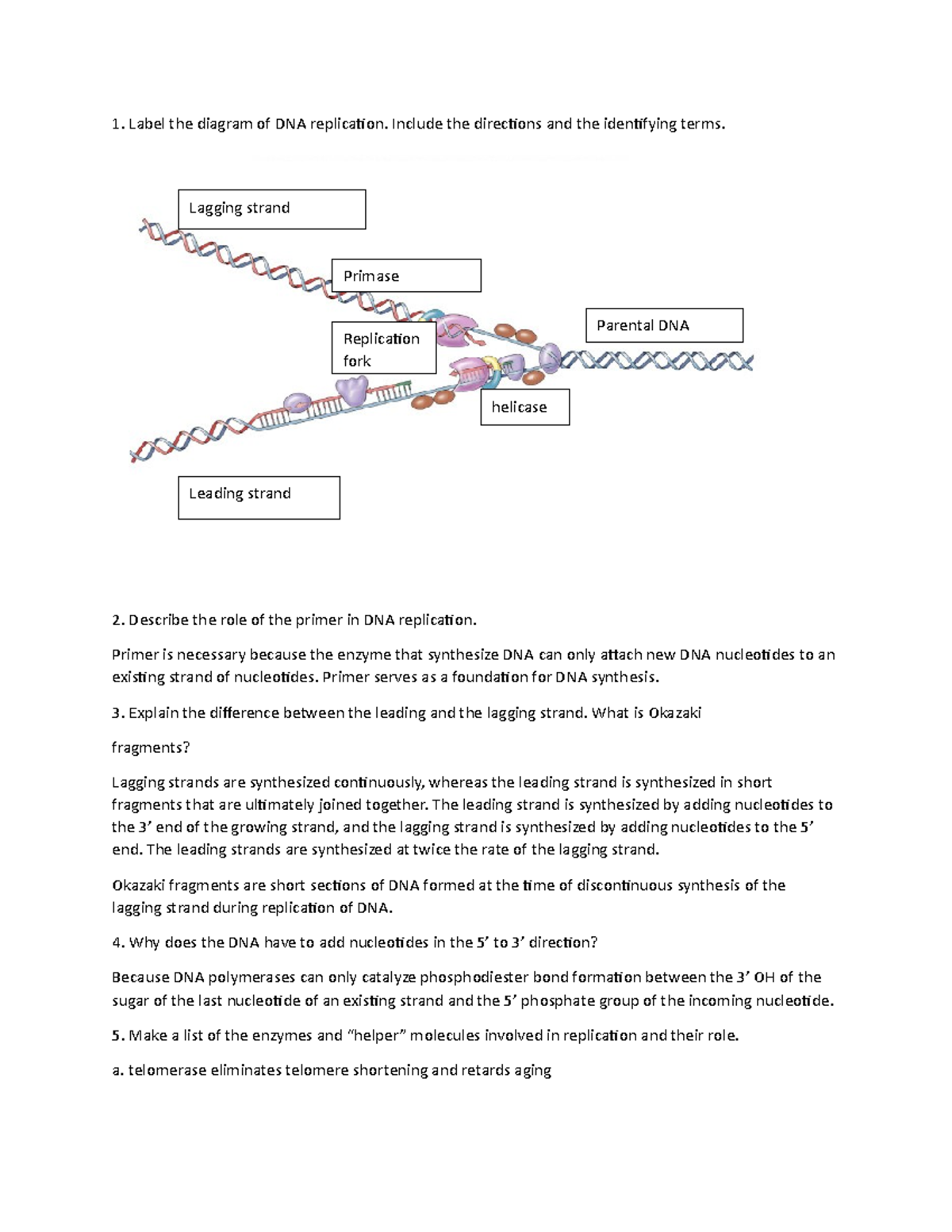 Chapter 16 participation work sheet - Label the diagram of DNA ...