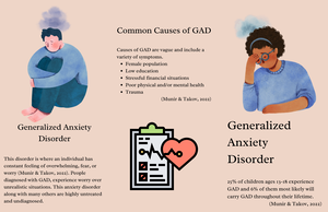 Reliability of Eyewitness Testimony - Based on the evidence in both ...