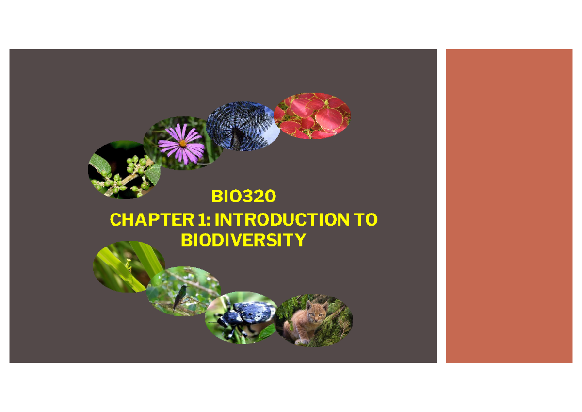 BIO320 Chapter 1 - BIO CHAPTER 1: INTRODUCTION TO BIODIVERSITY ...