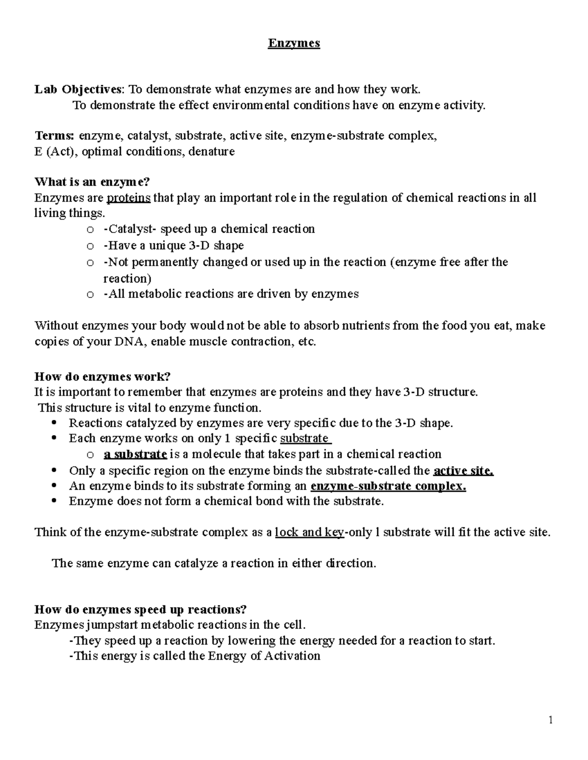 Enzymes Notes for Bio 101 - Enzymes Lab Objectives : To demonstrate ...