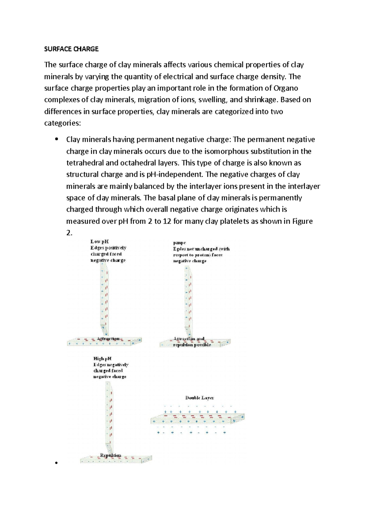 Surface Charge - Summary Soil Mechanics and Foundations - SURFACE ...