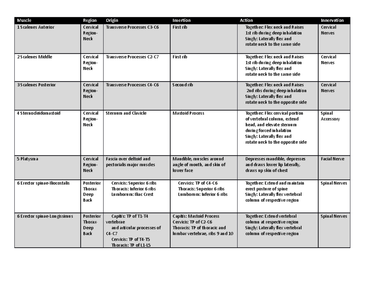 Muscle chart 1 - Muscle 1 Scalenes Anterior Region Cervical RegionNeck ...