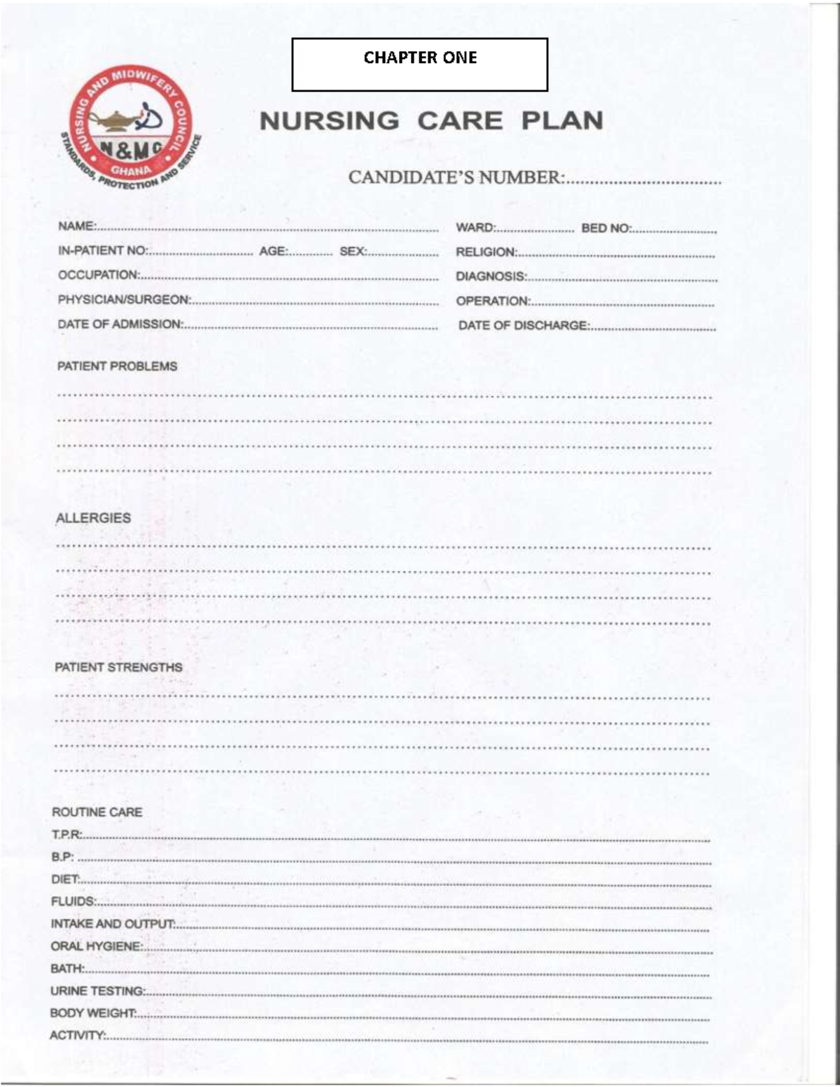CARE PLAN Guide latest PDF 2 - Not How Long But How Well – BIG LOUEZ ...