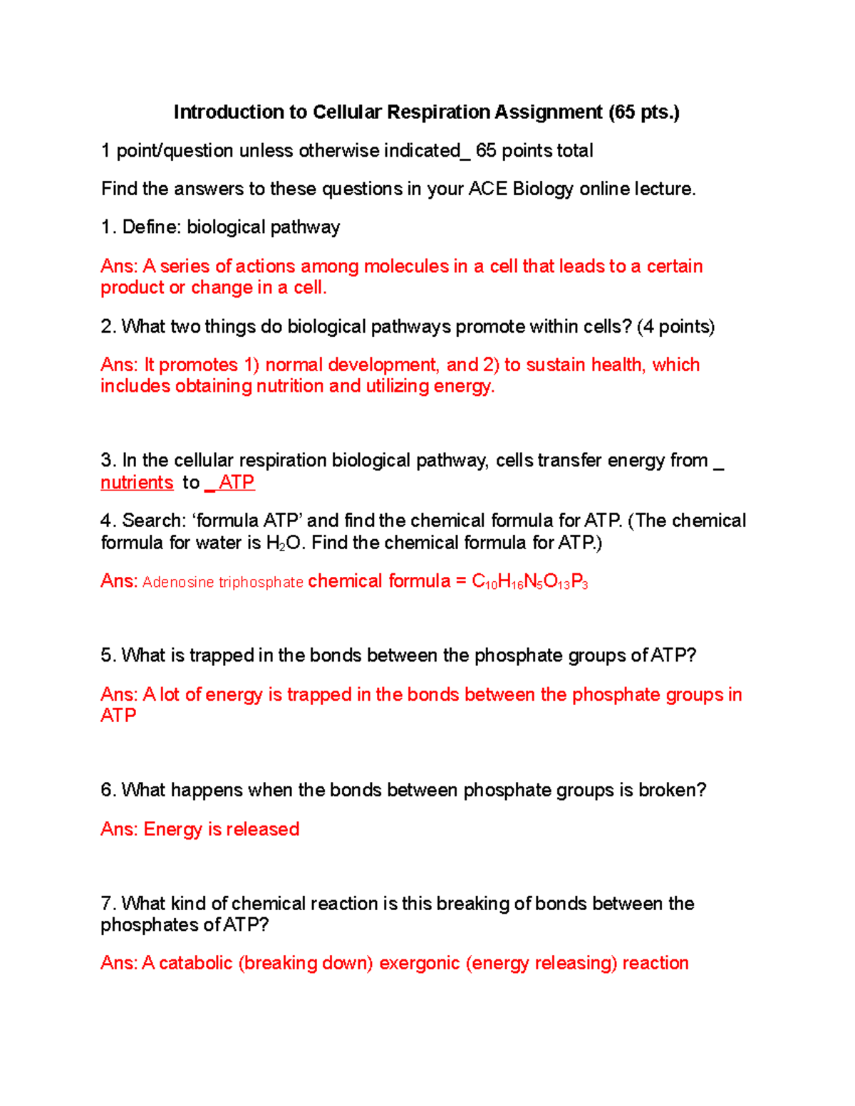 Introduction to Cellular Respiration Assignment (65 pts - ) 1 point ...