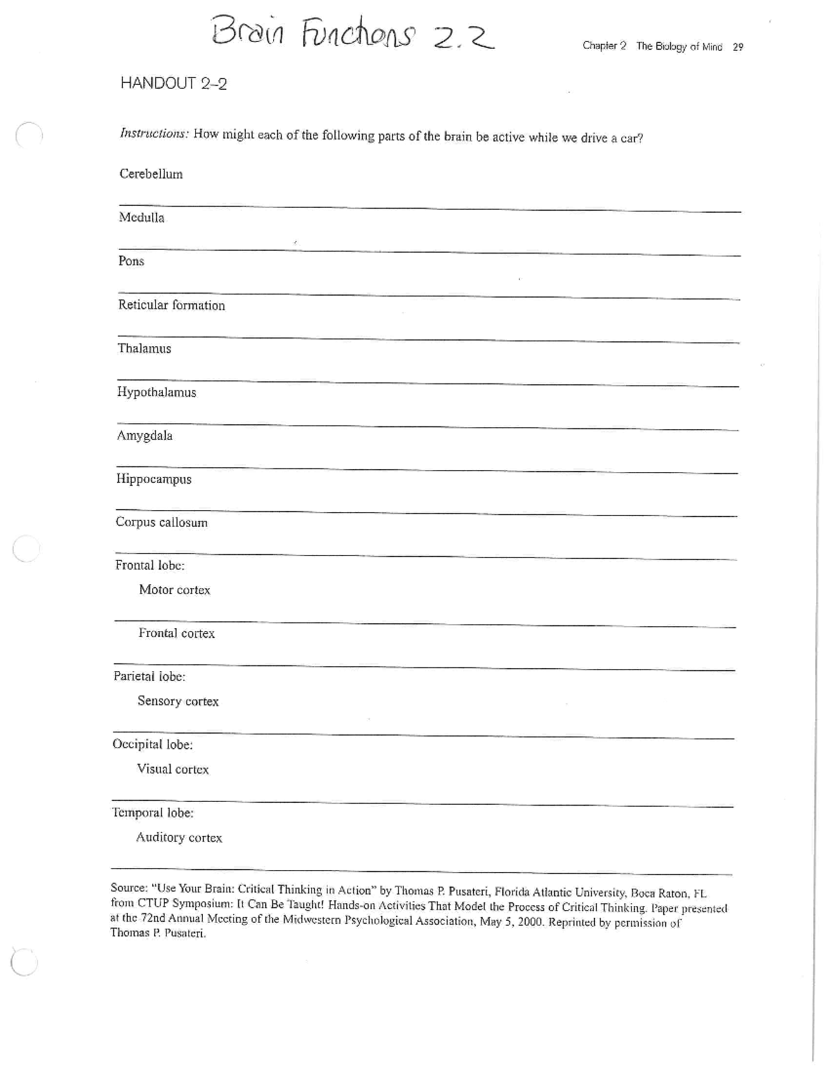 Brain functions and driving - BIOL 151 - Studocu