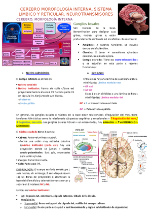 09 NUCA Y Region Dorsal - NUCA Y REGION DORSAL La región dorsal es ...