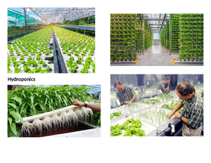 Pananaliksik KPWP (Ang relasyon sa pagitan ng Pagtulog at Akademikong ...