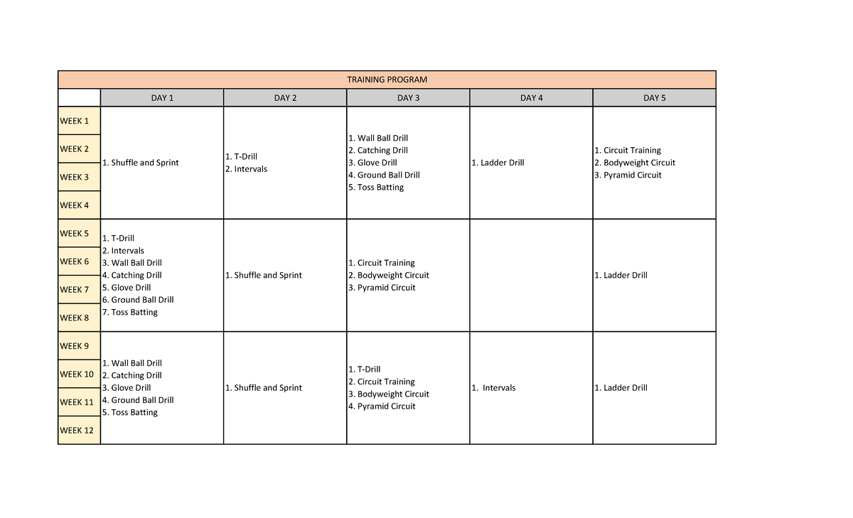 Training program - DAY 1 DAY 2 DAY 3 DAY 4 DAY 5 WEEK 1 WEEK 2 WEEK 3 ...