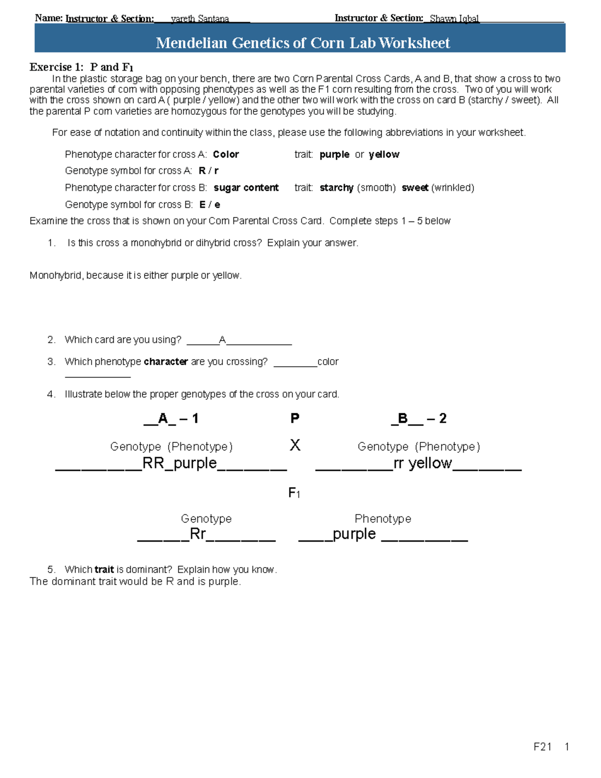 Ysantana-Mendelian Genetics Corn - Name: Instructor & Section ...