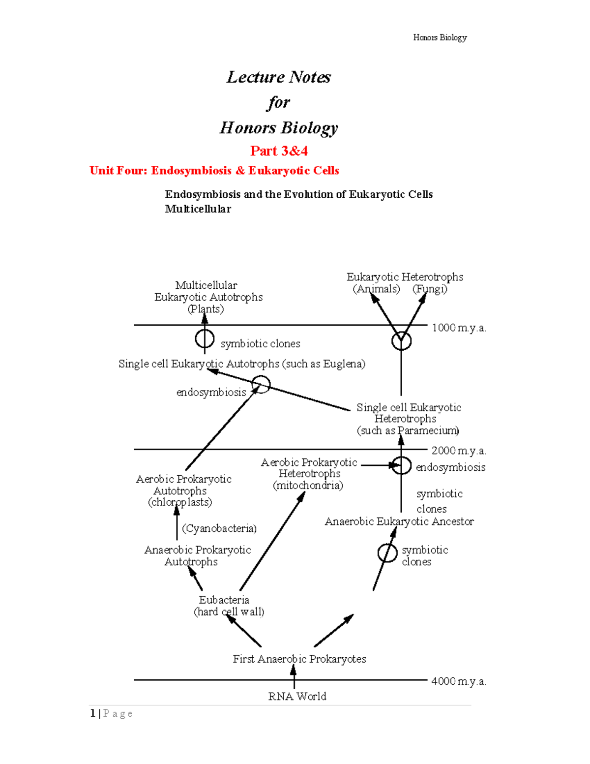 Honors Biology PART 3 and 4 - Lecture Notes for Honors Biology Part 3 ...