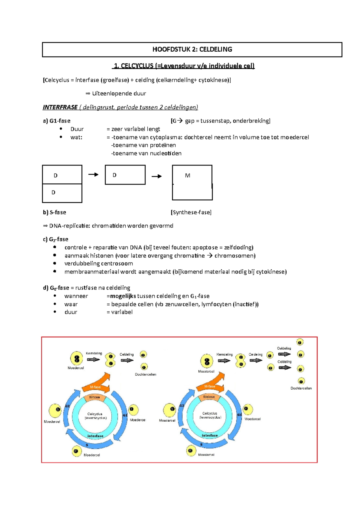 BIO Thema 2 celdeling - 1. CELCYCLUS (=Levensduur v/e individuele cel ...