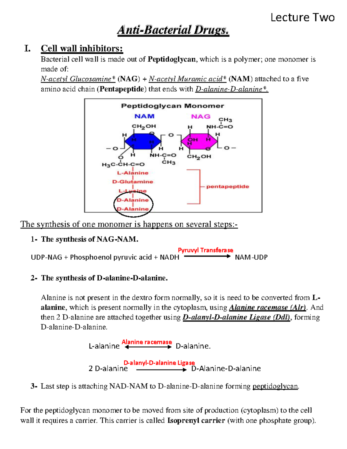 Lecture 2-Antibacterials - UDP-NAG + Phosphoenol pyruvic acid + NADH ...