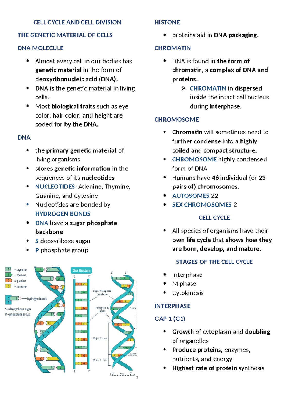 CELL Cycle AND CELL Division BIO - CELL CYCLE AND CELL DIVISION THE ...