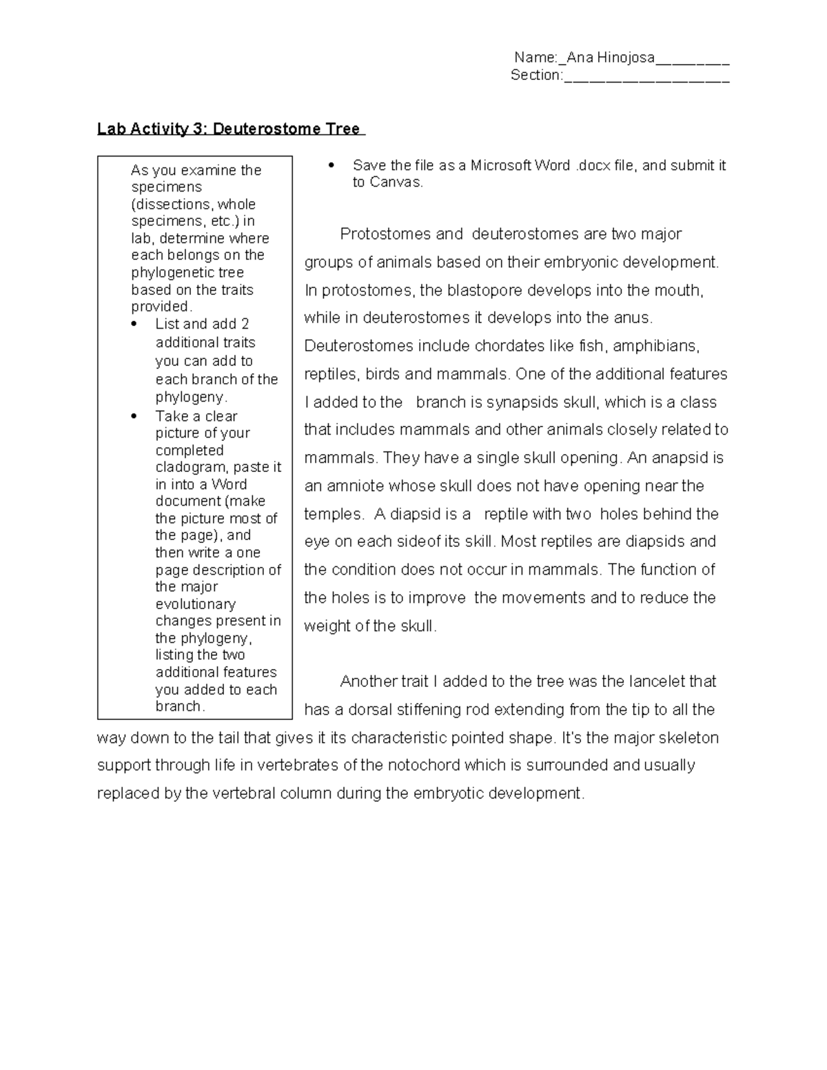 Deuterostomes protocolanddatasheet v5 - Name:Ana Hinojosa________ Section ...