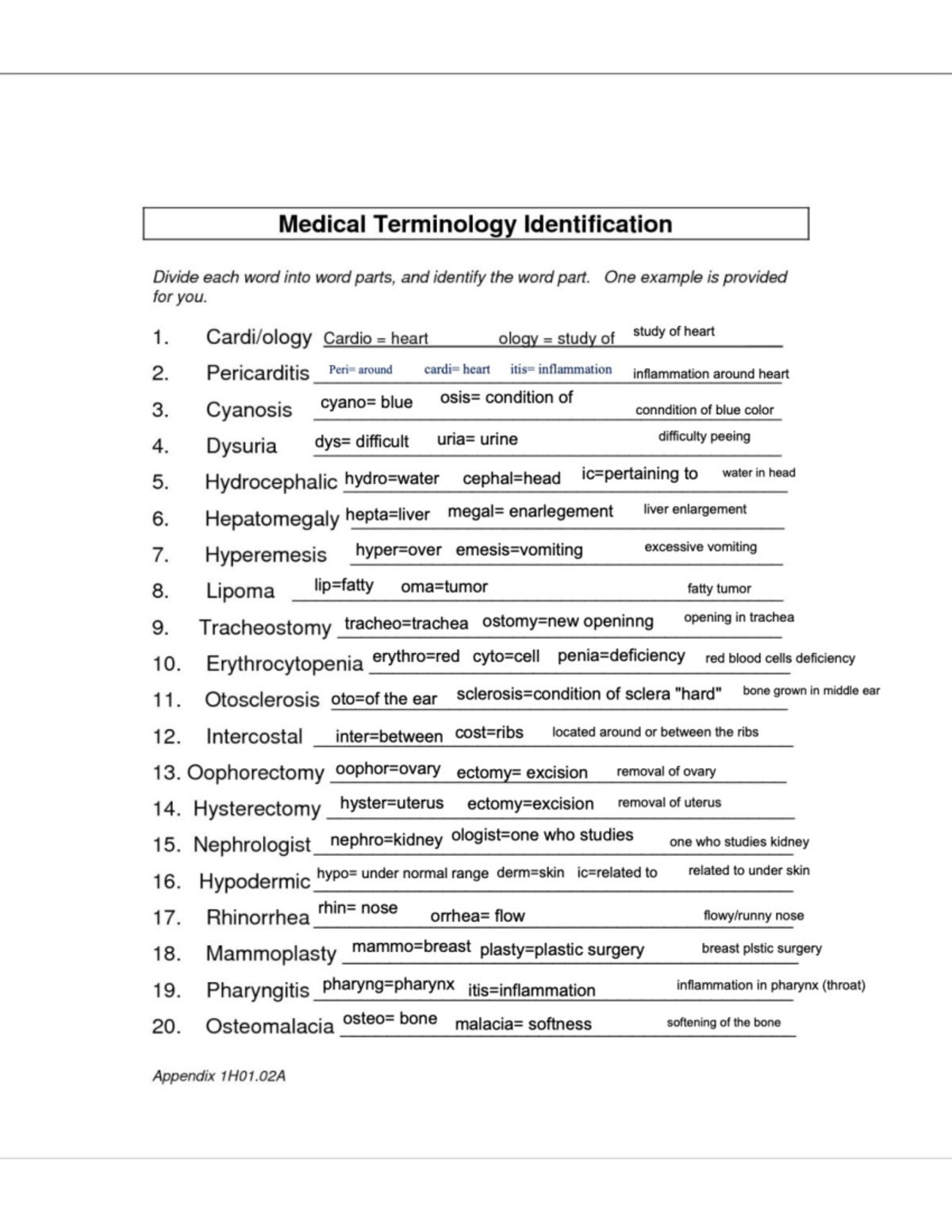 Med term worksheet ans - TTh0801 - Studocu