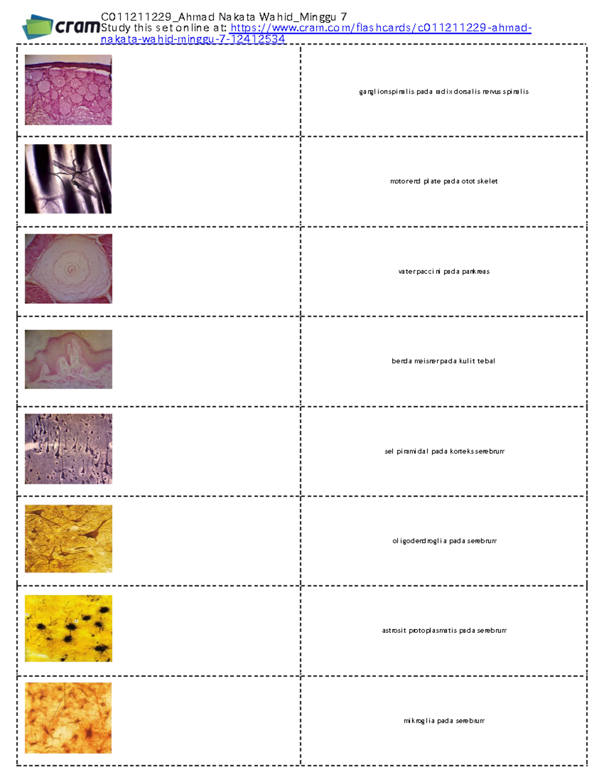 C011211229 Ahmad Nakata Wahid Minggu 7 - ganglion spinalis pada radix ...