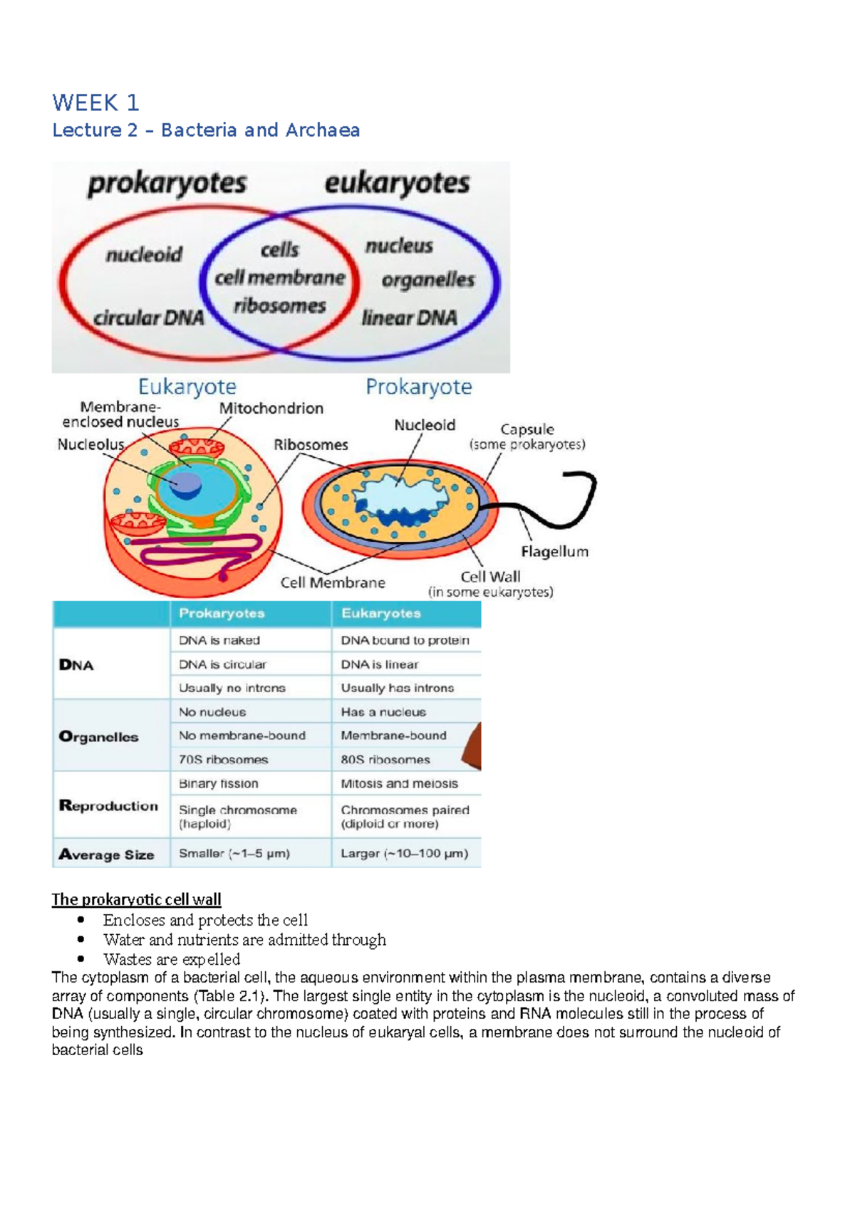 BM1000 Lecture notes - WEEK 1 Lecture 2 – Bacteria and Archaea The ...