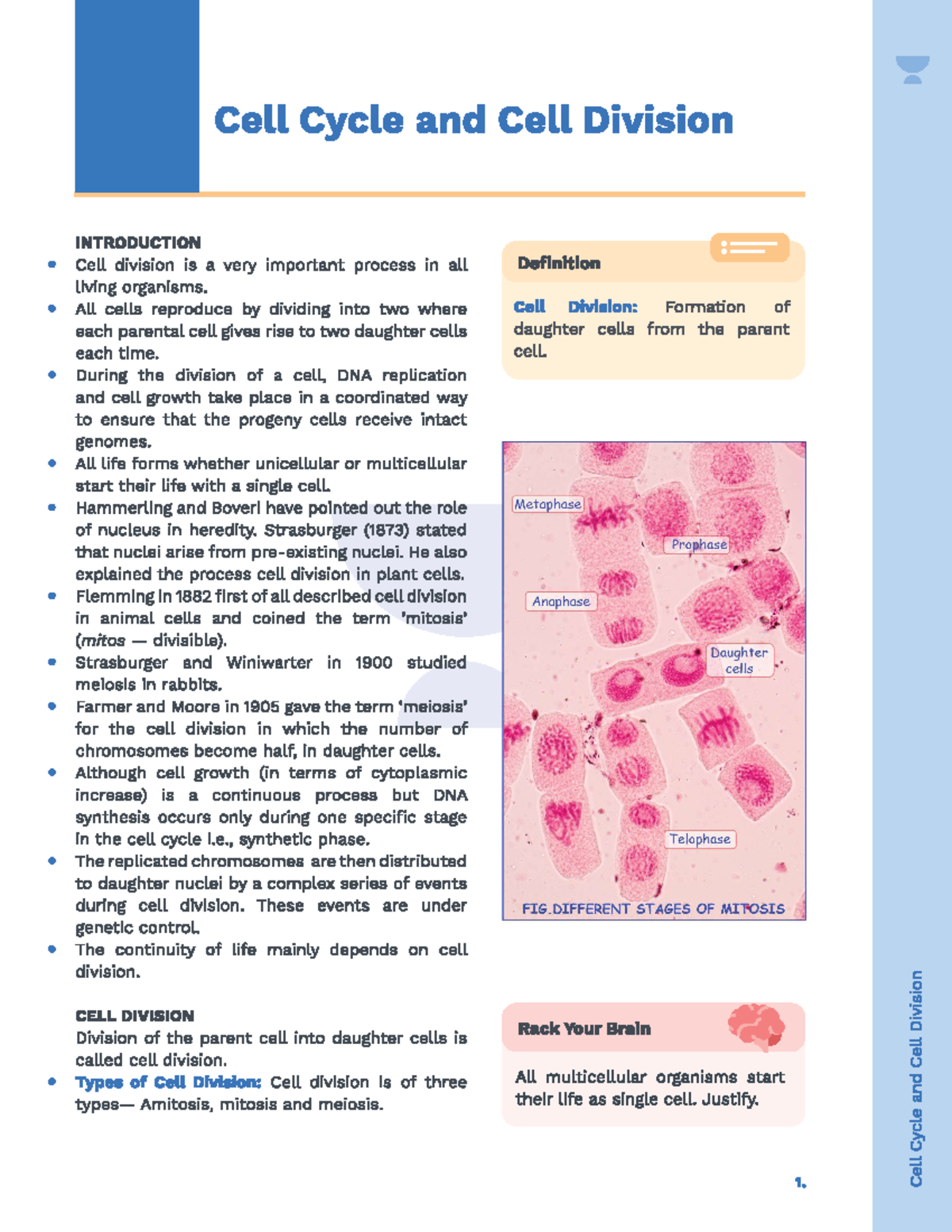 Cell-Cycle-and-Cell-Division physiology - Clinical medicine - Studocu