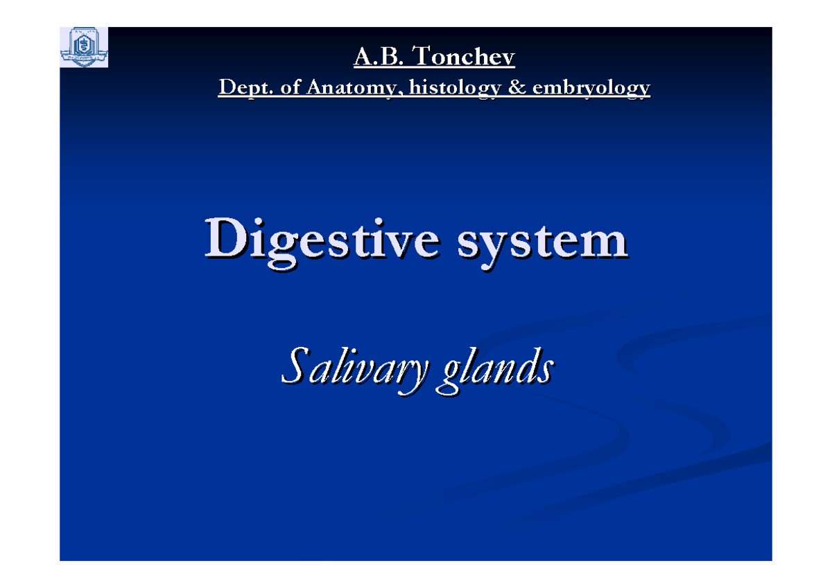 Saliv Pharynx Esoph slides - Digestive system Digestive system Salivary ...