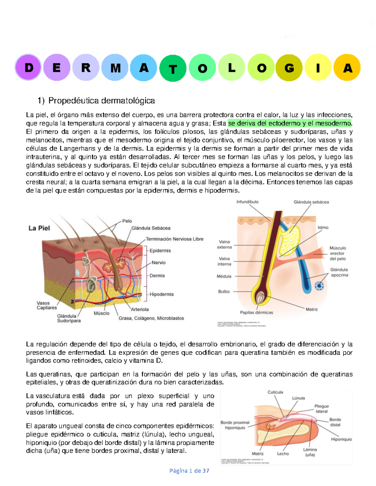 Derma - 1) Propedéutica dermatológica La piel, el órgano más extenso ...