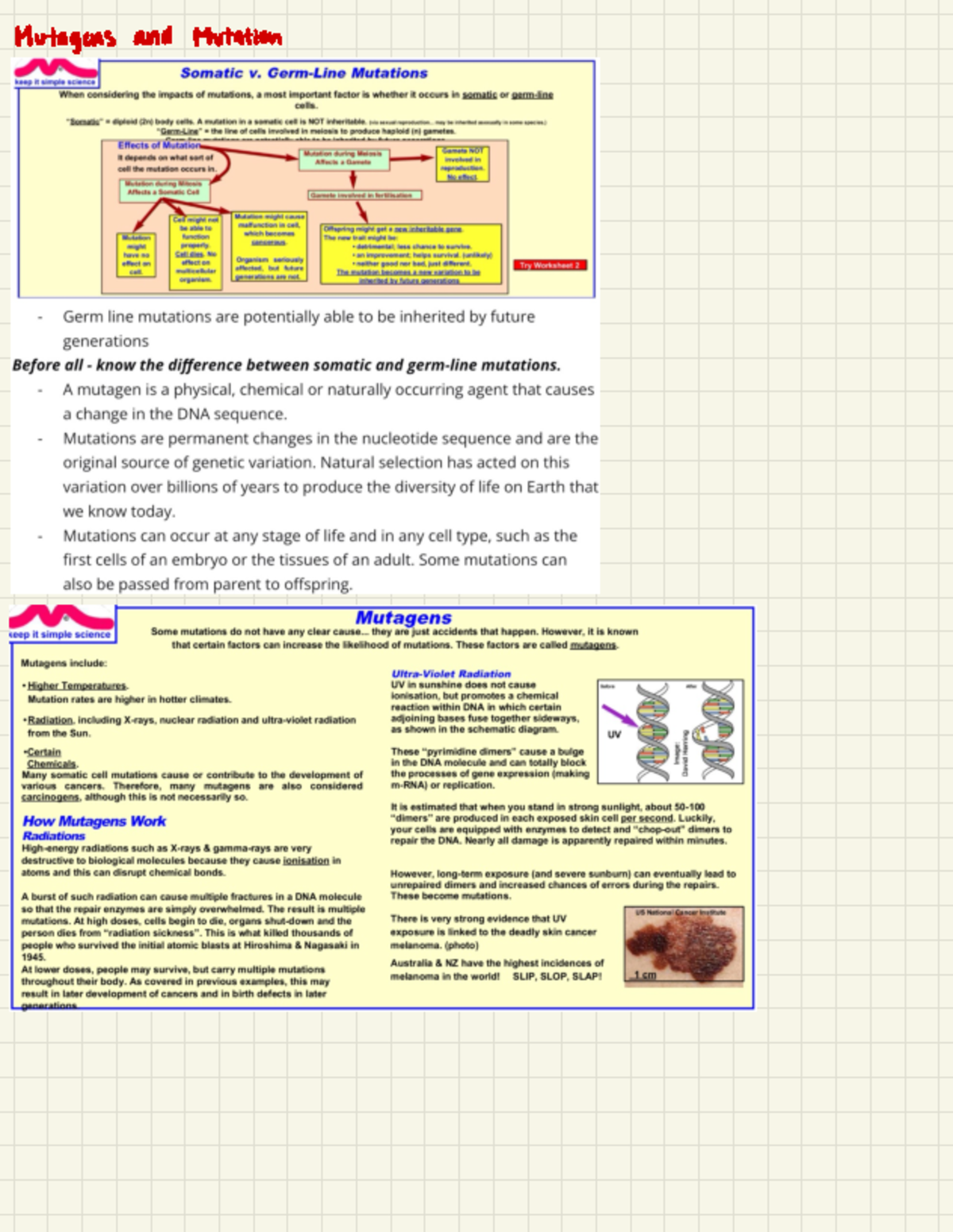 Bio module 6 notes - lkofapj - Mutagens and Mutation ####### 6. 1. 2 ...