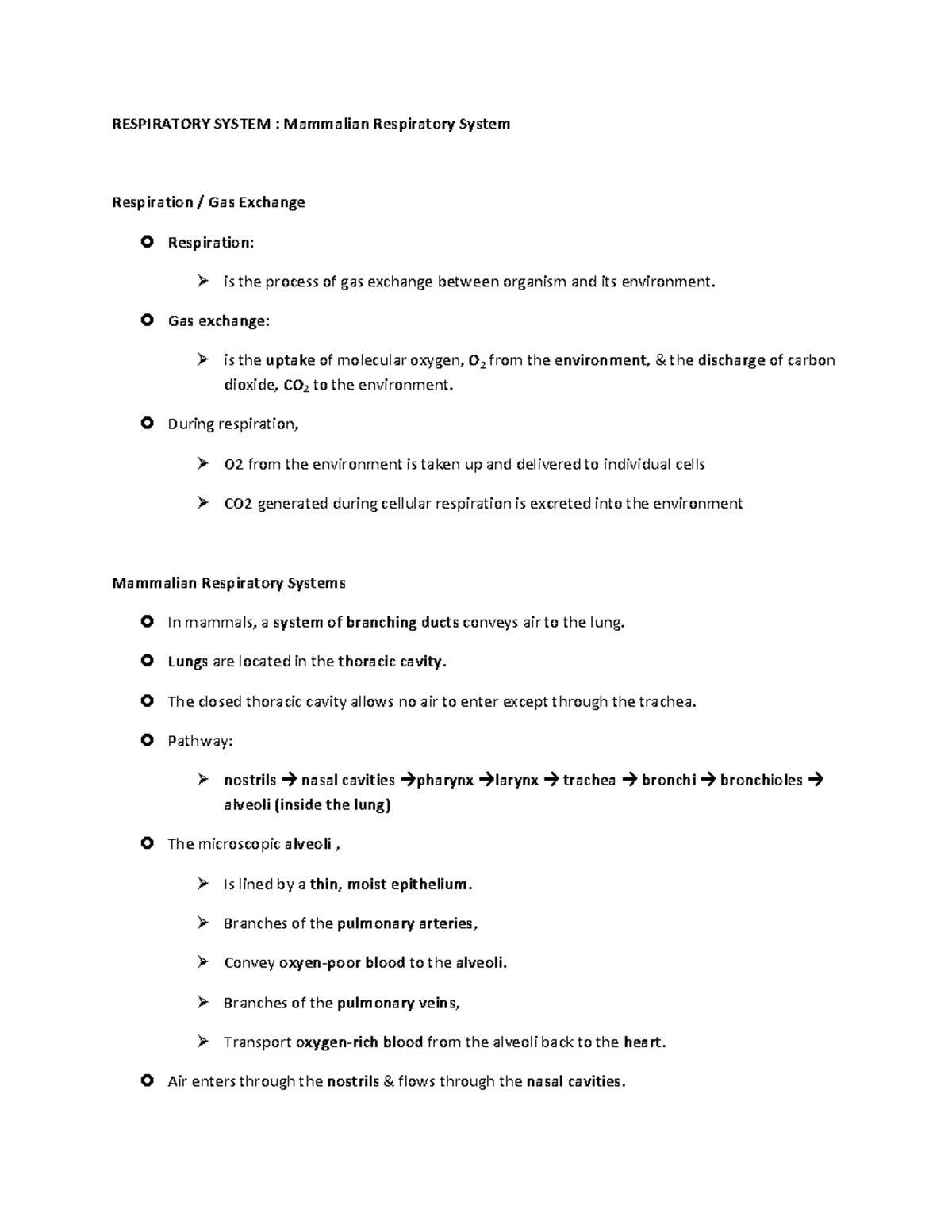 Mammalian Respiratory System - RESPIRATORY SYSTEM : Mammalian ...