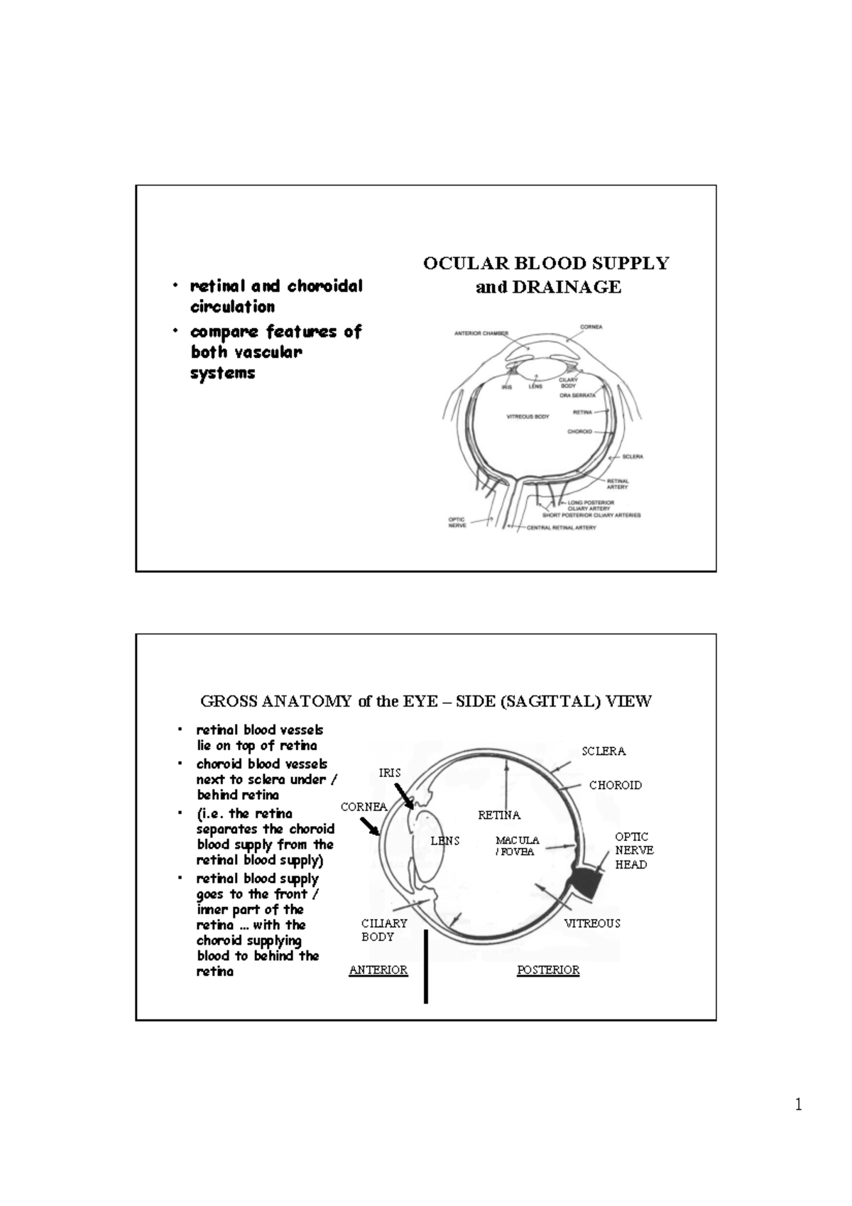 Ophthalmic Anatomy and Physiology A- Lecture notes on ocular Blood ...