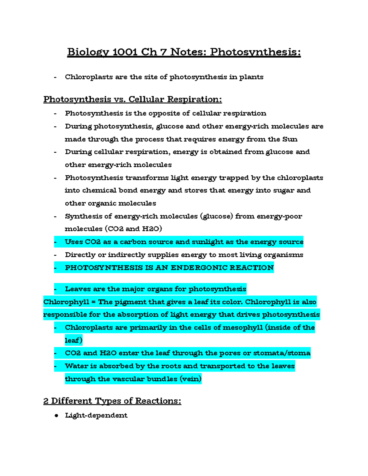 Biology 1002 Ch 7 Notes Photosynthesis - Biology 1001 Ch 7 Notes ...