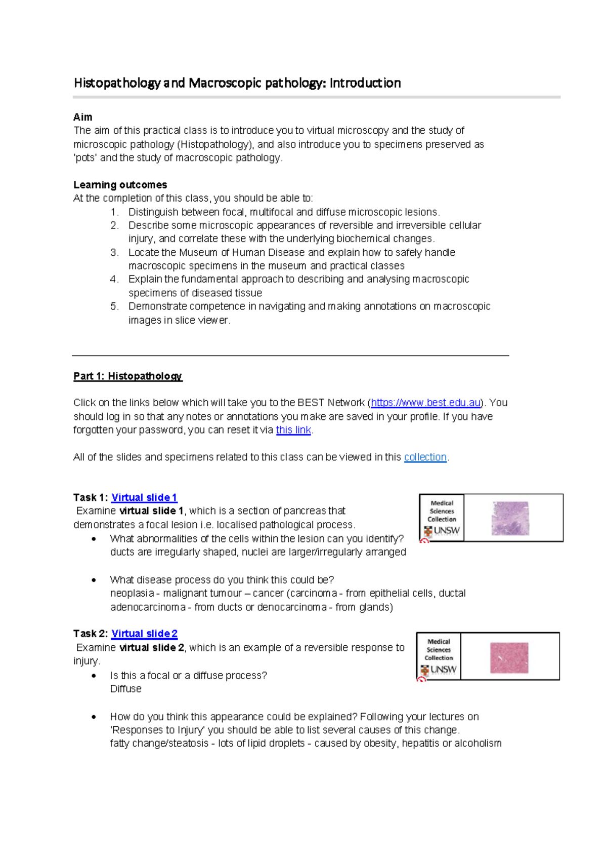 PATH2201 Lab Worksheet - Histopathology and Macroscopic pathology ...