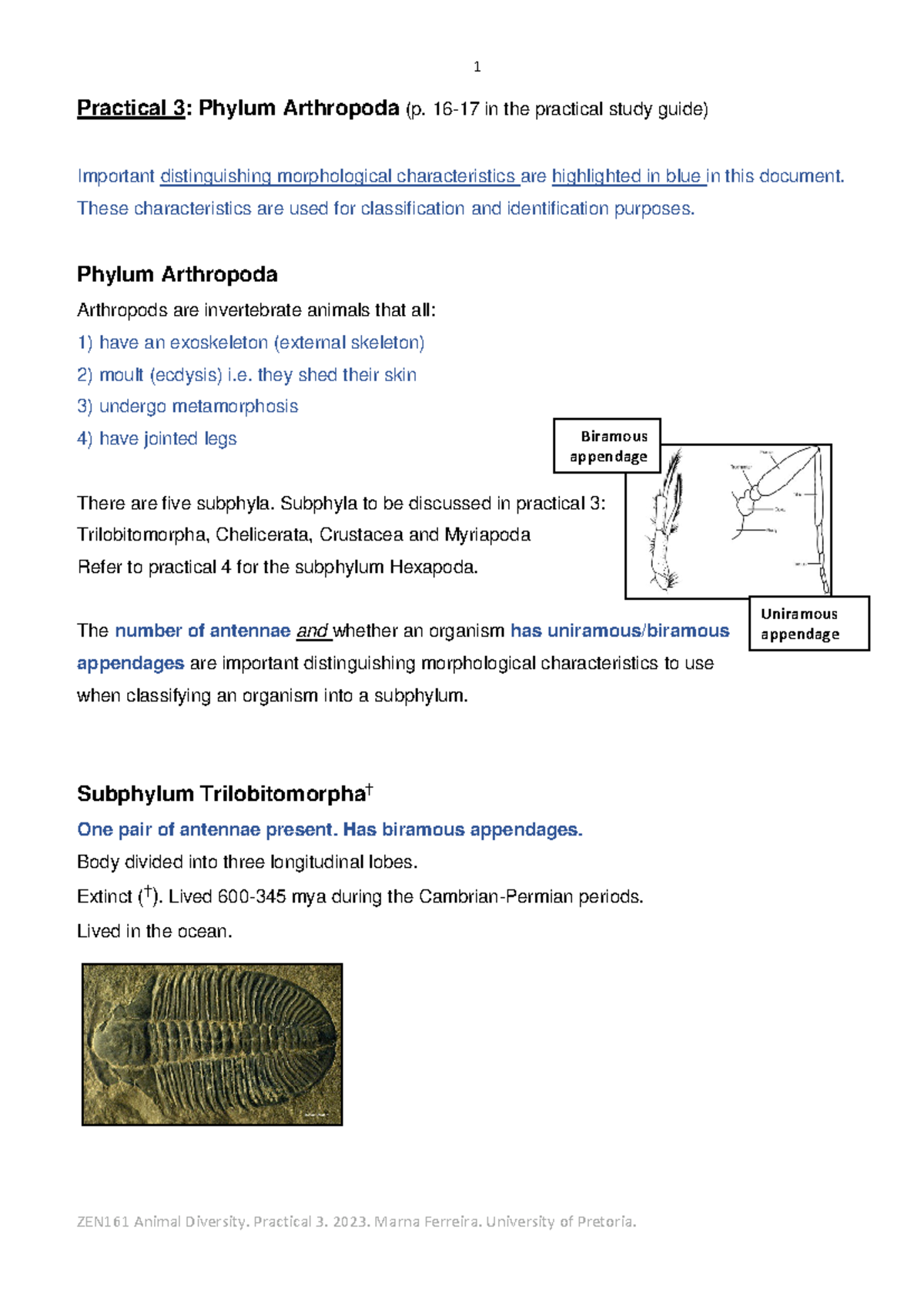 ZEN161 Practical 3 Content - Practical 3: Phylum Arthropoda (p. 16-17 ...