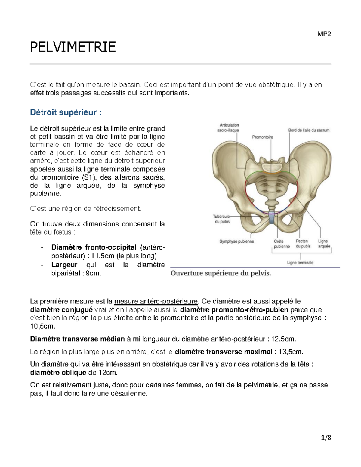UE8 MP 2 - Pelvimétrie et muscles pelviens - PELVIMETRIE MP2 le fait ...