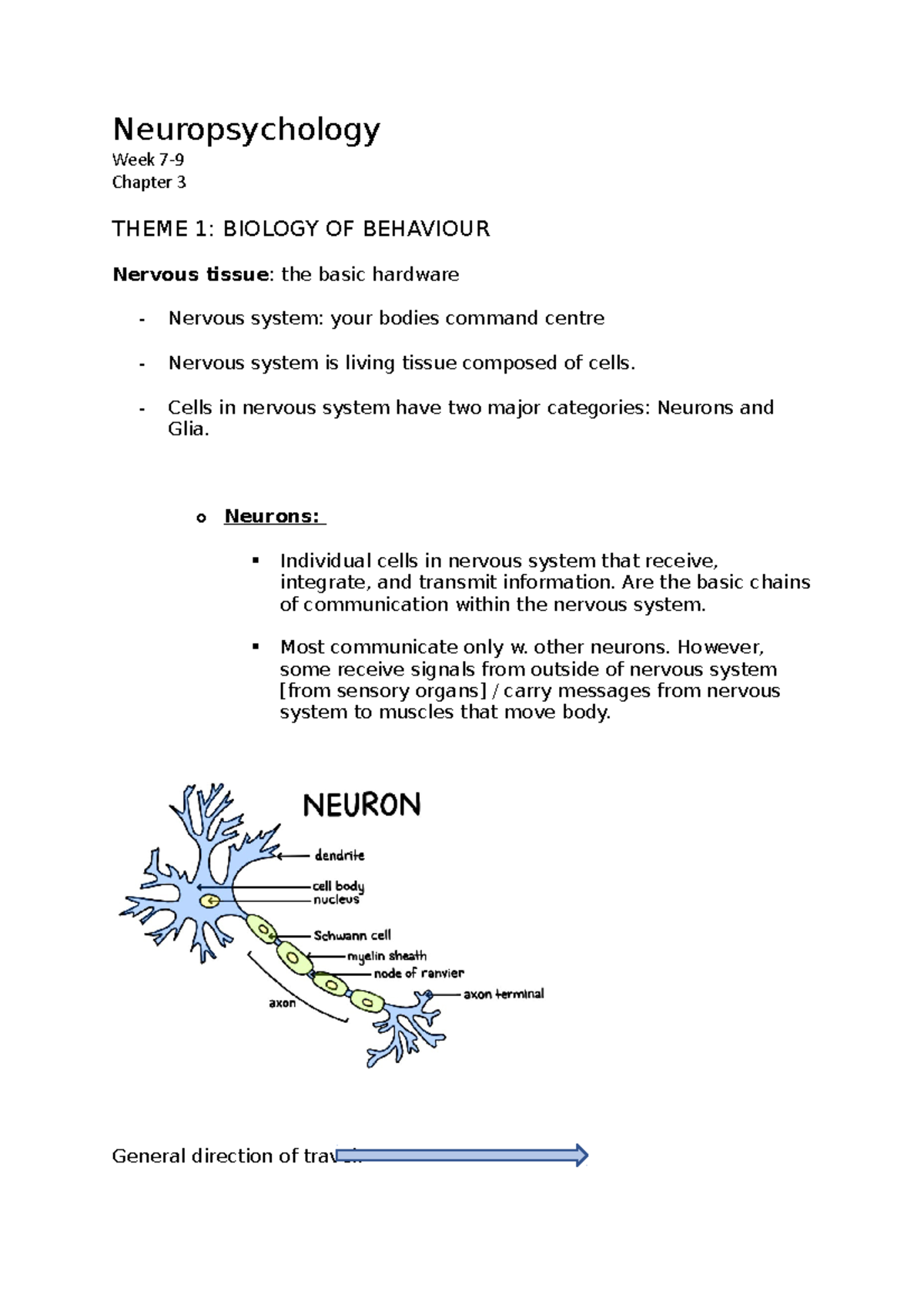 Neuropsychology - Neuropsychology Week 7- Chapter 3 THEME 1: BIOLOGY OF ...