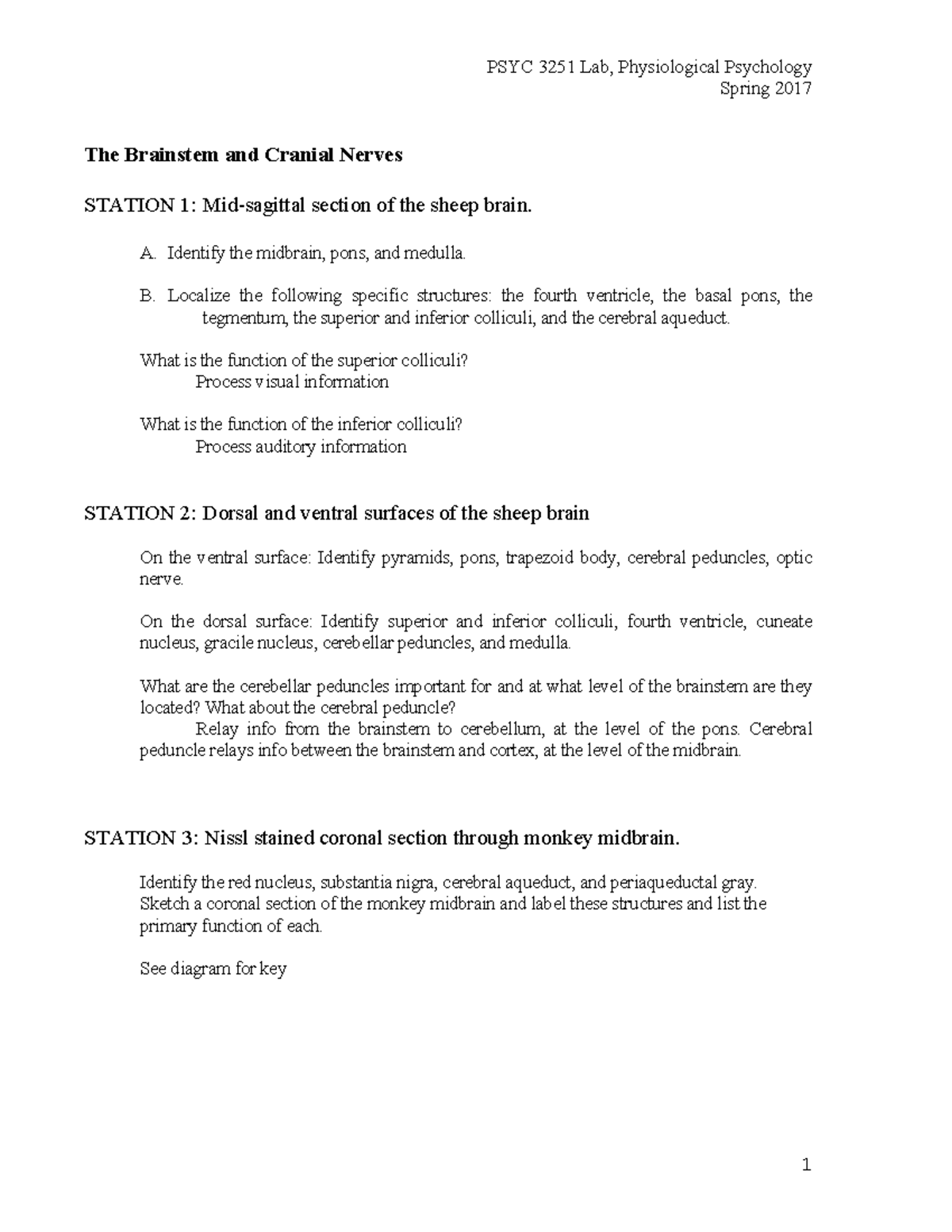 Brainstemlab - Brainstem lab handout key - PSYC 3251 Lab, Physiological ...