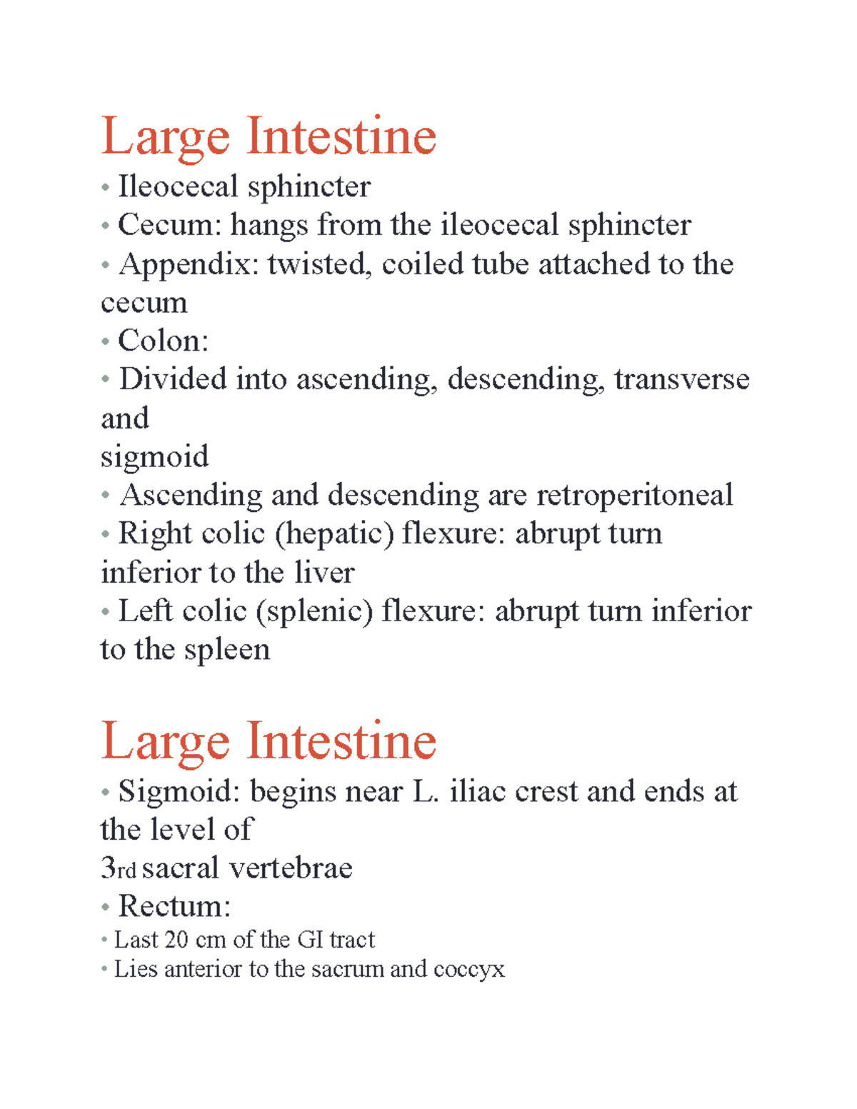 Large Intestine - Large Intestine • Ileocecal sphincter • Cecum: hangs ...