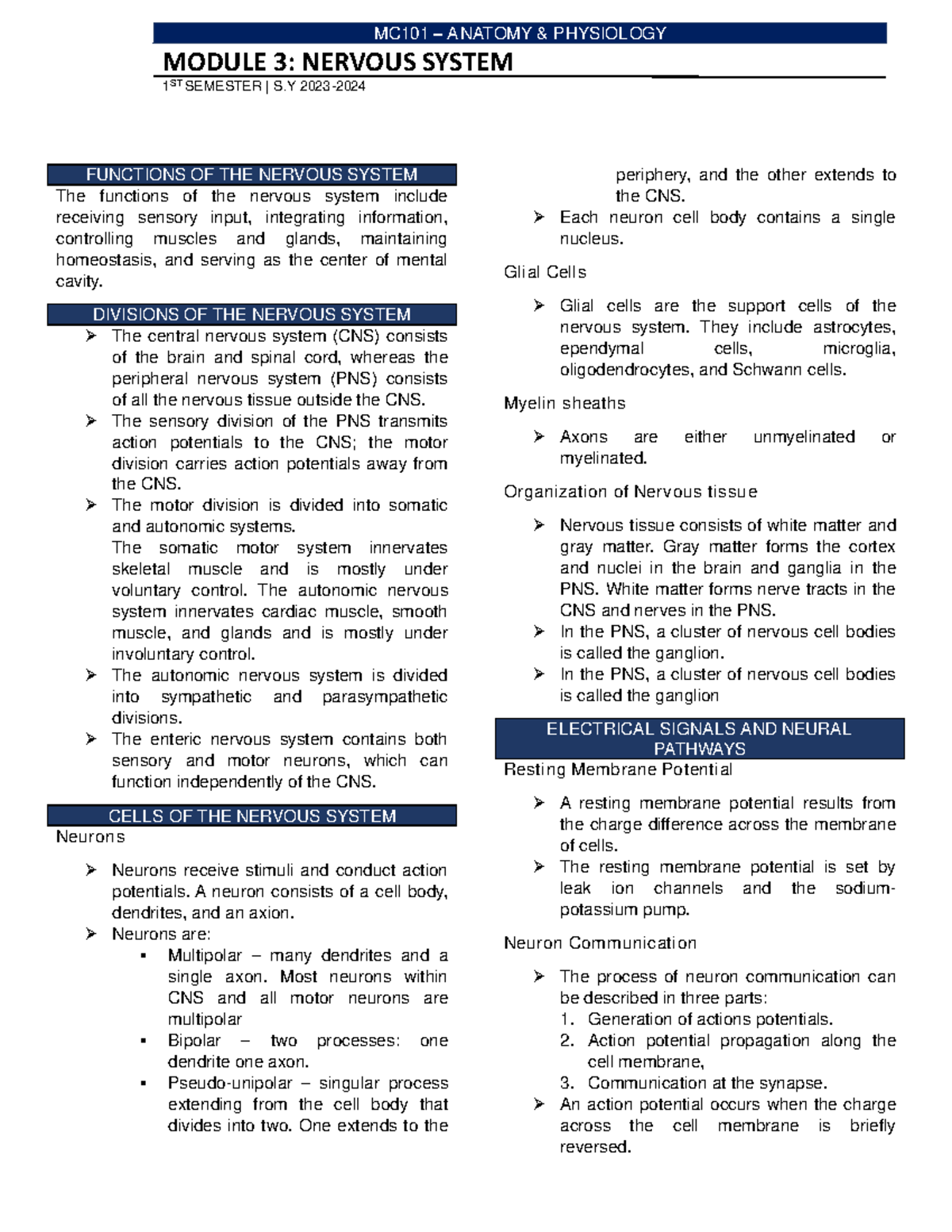 Nervous System - MC10 1 – ANATOMY & PHYSIOLOGY MODULE 3 : NERVOUS SYSTEM 1 ST SEMESTER | S 2023 ...