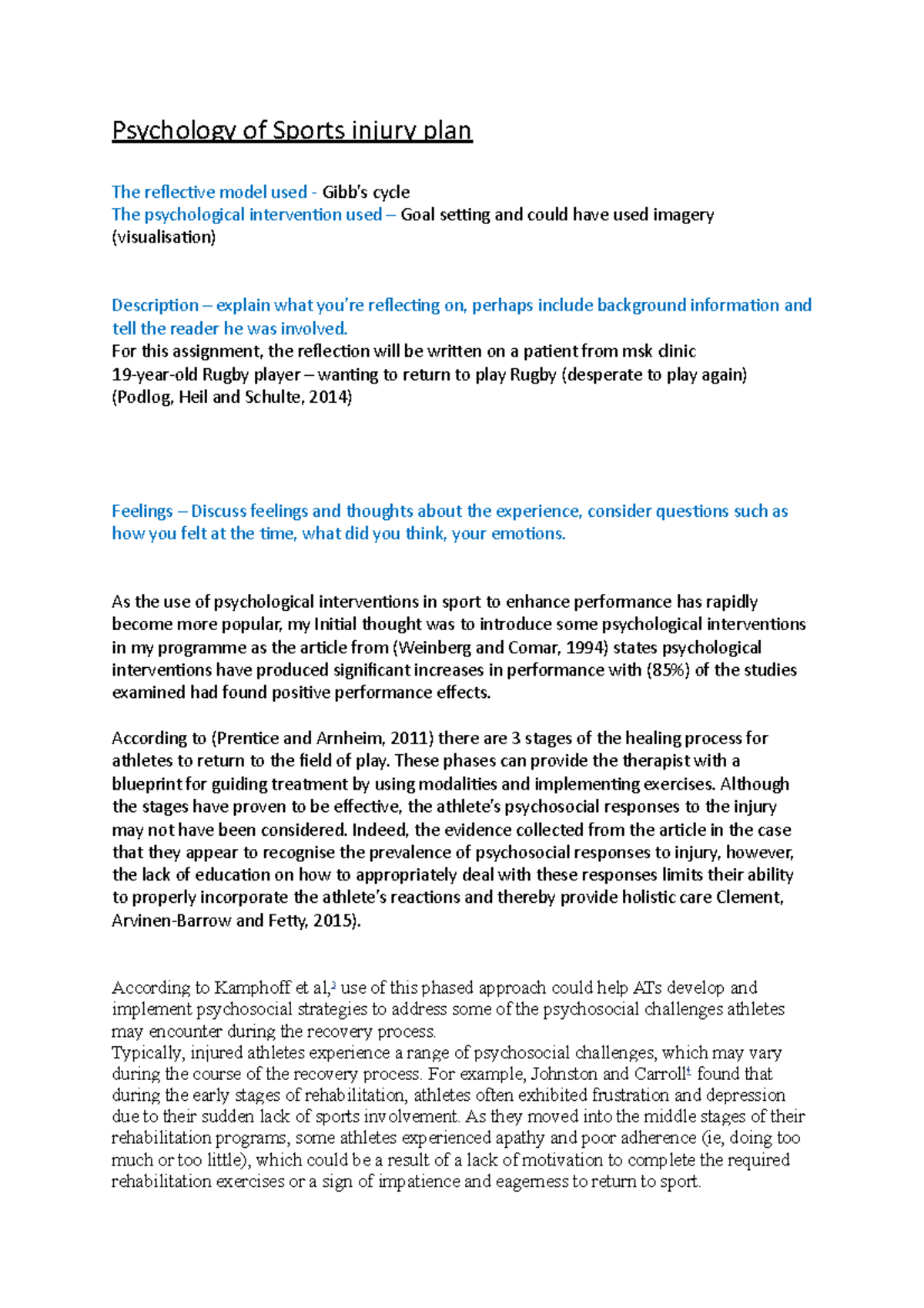 Psychology of Sports injury plan - For this assignment, the reflection ...