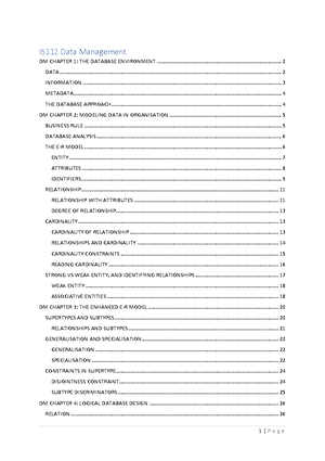 Sample Exam Paper DM - TERM 2 2008-09 FINAL EXAM April 2009 IS202 Data ...