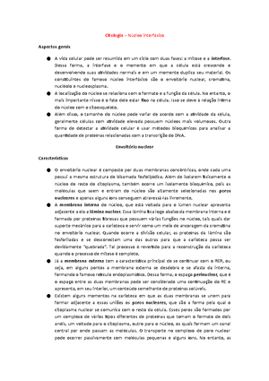 Filotaxia Folhas exemplos modelo e características - Filotaxia (gr ...
