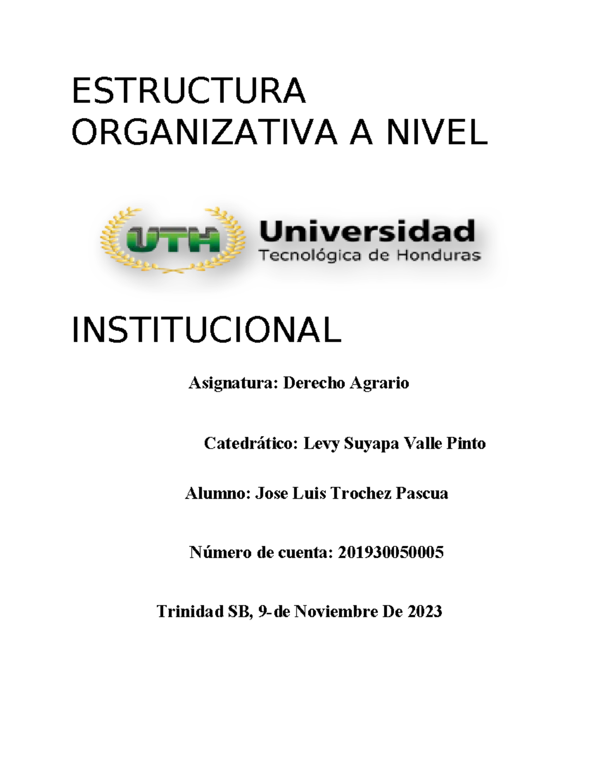 Estructura Organizativa A Nivel Institucional - ESTRUCTURA ORGANIZATIVA ...