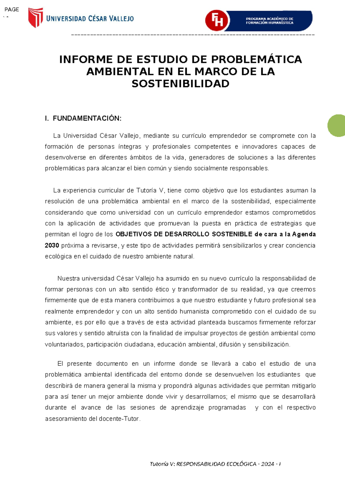 Informe Tutoria V 2024-I - * - Studocu