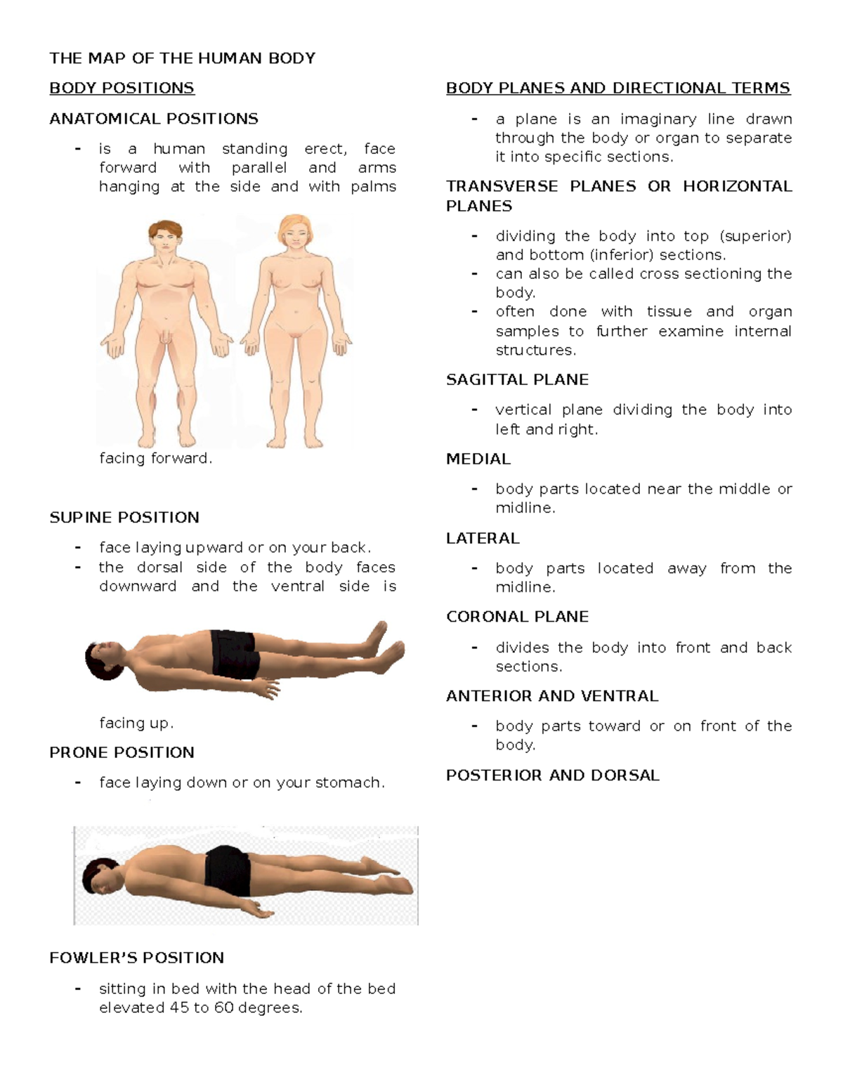 Anaphy-reviewer - THE MAP OF THE HUMAN BODY BODY POSITIONS ANATOMICAL ...