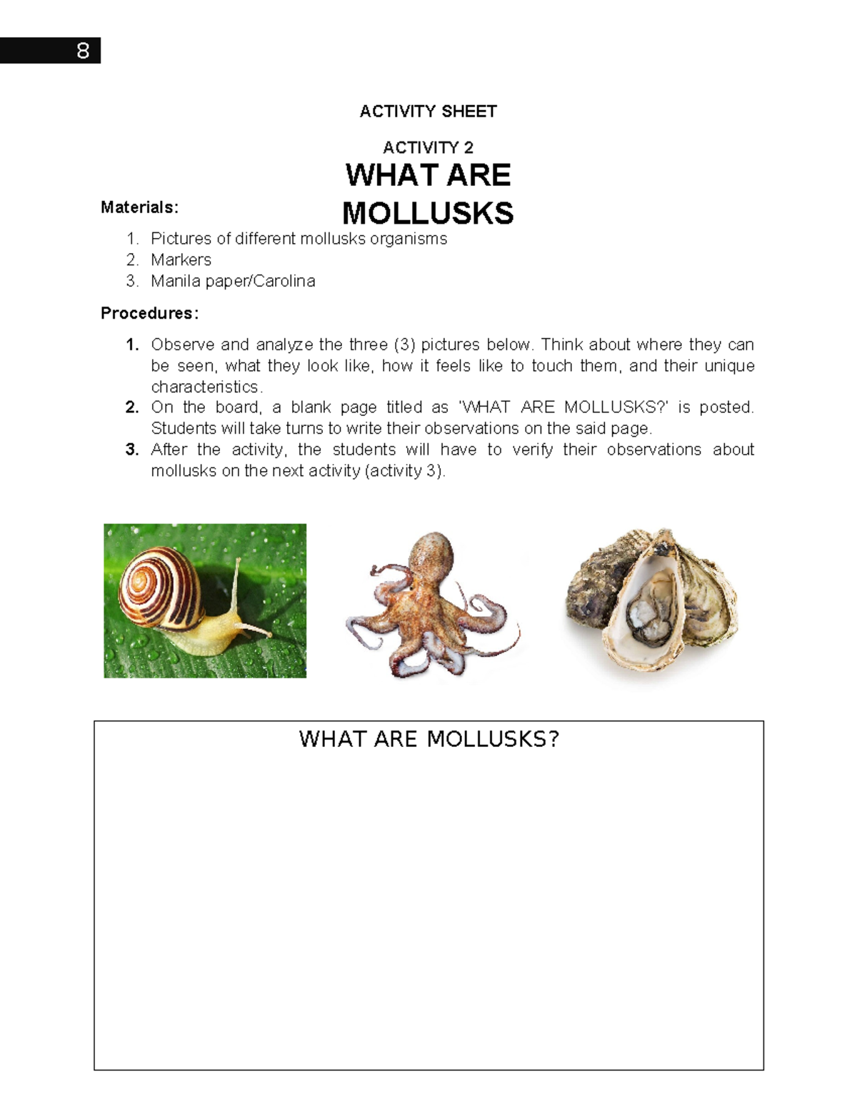 WHAT ARE Mollusks Activity Sheet - 8 ACTIVITY SHEET Materials: 1 ...