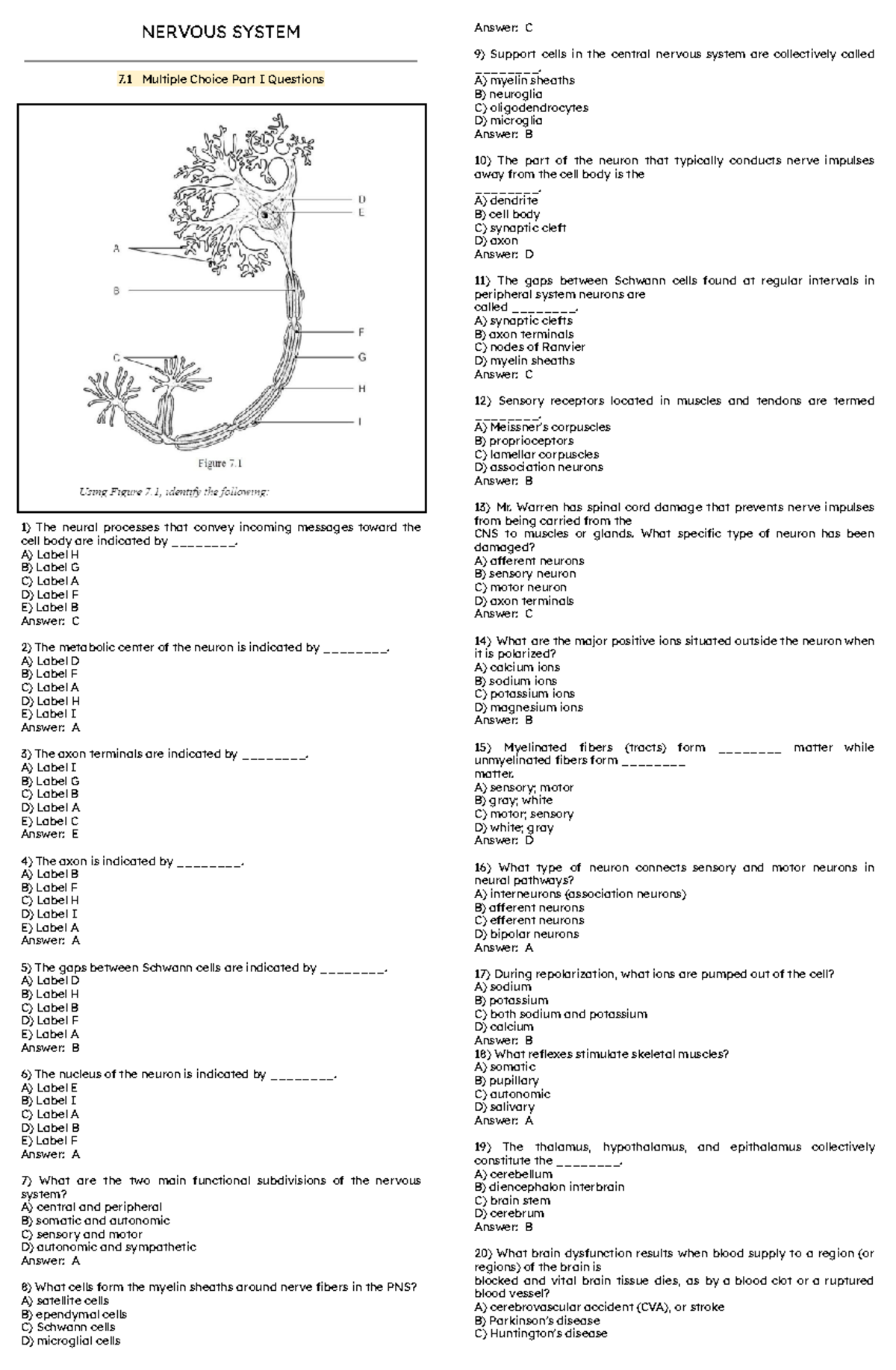 Midterm Anaphy Reviewer Nervous System 7 Multiple Choice Part I Questions The Neural Processes