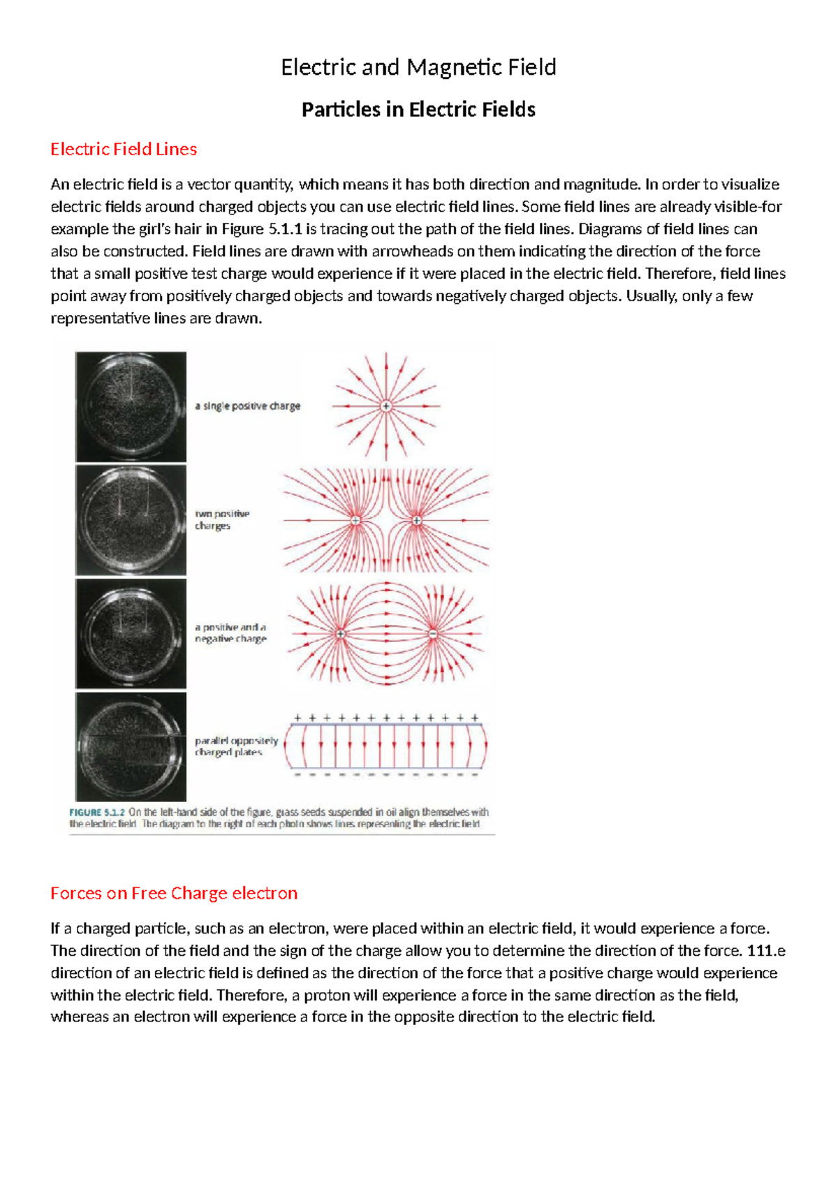 Electric and Magnetic Field - Electric and Magnetic Field Particles in ...